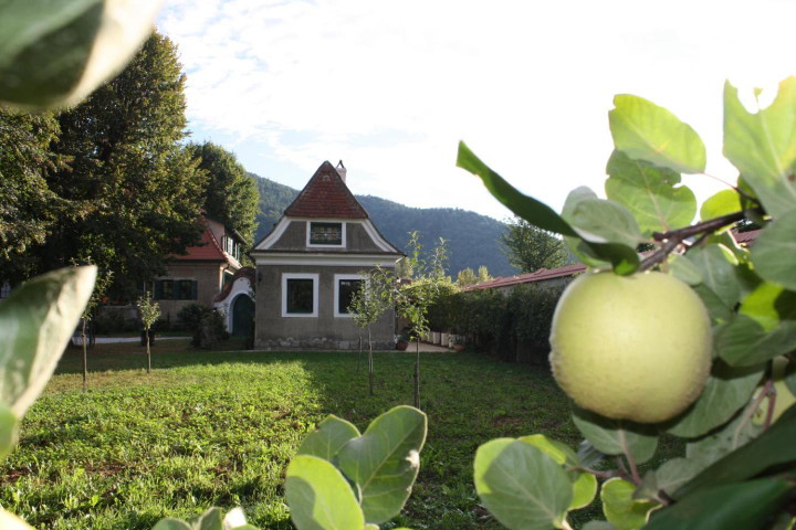 Bioweingut Schmidl Rosenstöckel - Dürnstein