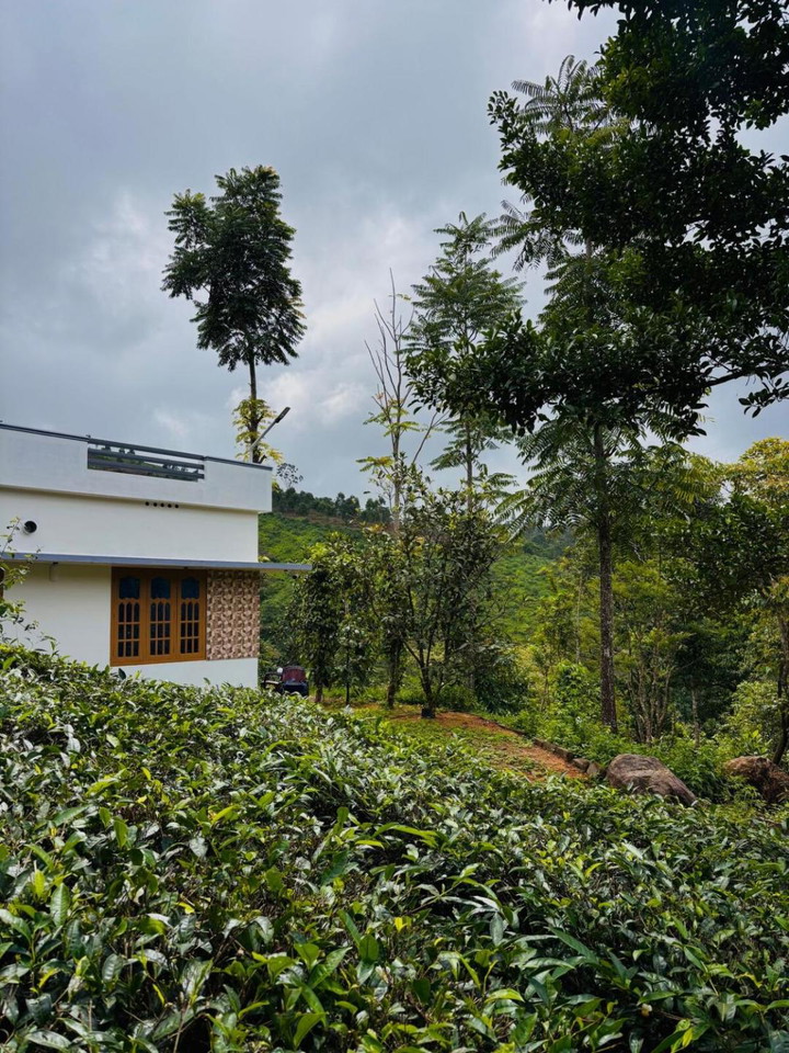 Private Tea Plantation Stay With Private Waterfall - Vagamon