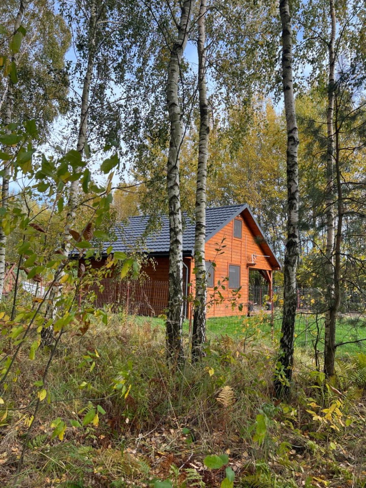 Domek Letniskowy Pod Brzozami Na Roztoczu Wśród Lasów, Zamość, Krasnobród, Zwierzyniec - Pologne
