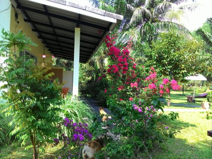 Aathid Garden Khao Lak - Khao Lak