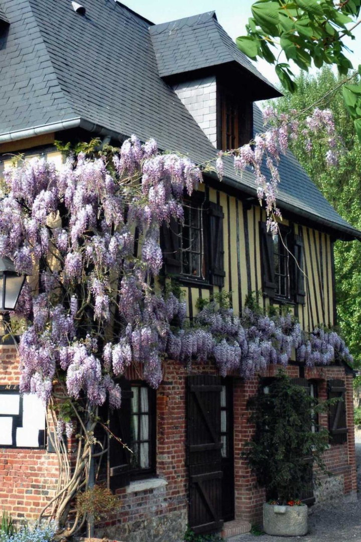 Auberge Du Val Au Cesne - Yvetot
