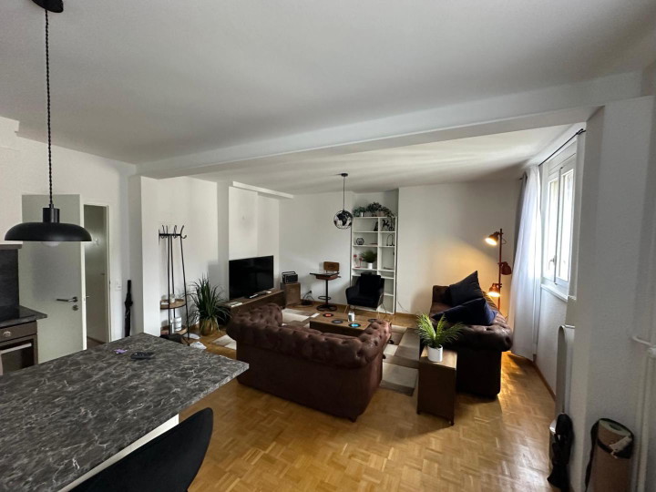 Magnificent Apartment, Geneva Center, Geneva Lake - Genève