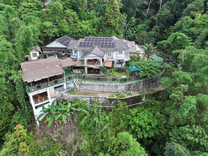 Hickory Penang Hill - Batu Ferringhi