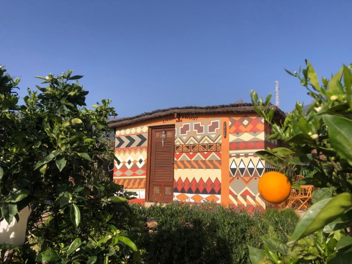 Afrikan Krisant Tenerife, Casa Rural Ecologica - Canary Islands