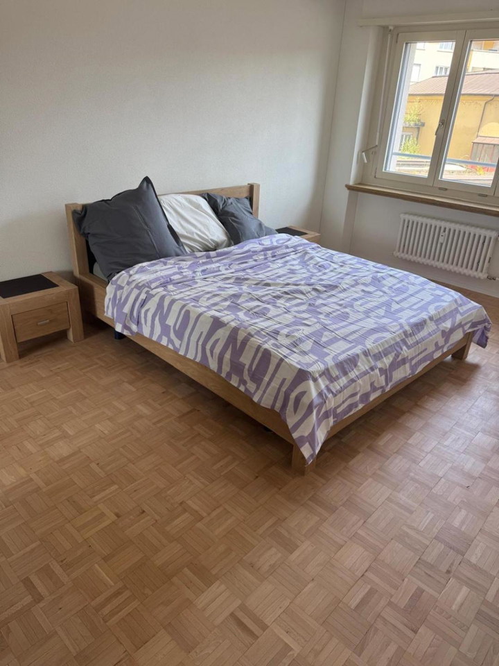 Shared Apartment In Central Luzern - Lucerne