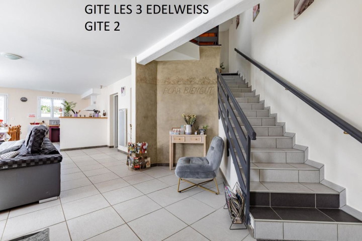 Les 3 Edelweiss - Gite 1 Ou Gite 2 -Maxi 10 Personnes Par Gite- - Pyrénées-Atlantiques