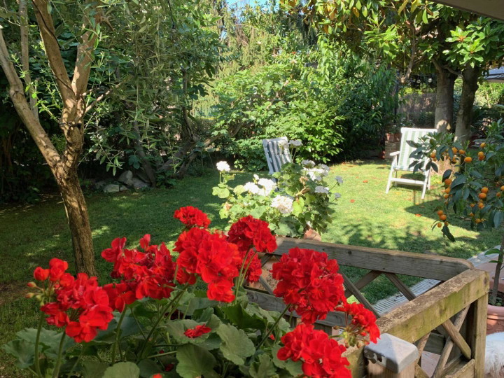 Golden Ravenna- Large Appartment In Center - Emilia-Romagna