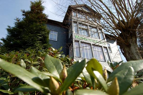 Pension Waldschlösschen - Thuringia