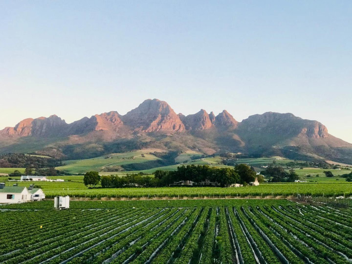 Naby-my Stellenbosch Cottage - Stellenbosch
