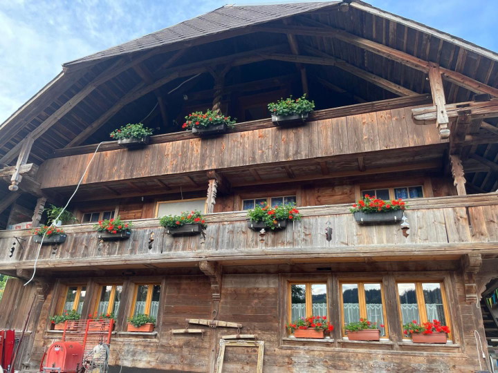 Pony Hof - Spiez