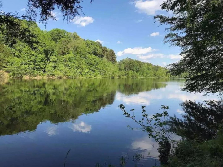 Dog-friendly Lakeside Escape W Hammock & Fire Pit - Durham, NC