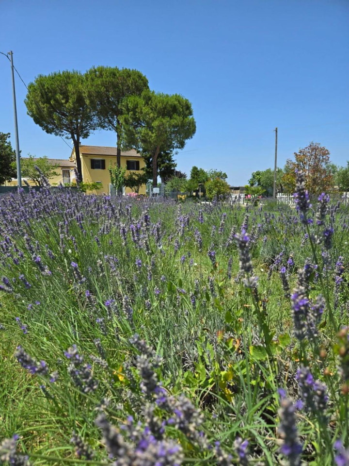 Casale B&b - Recanati