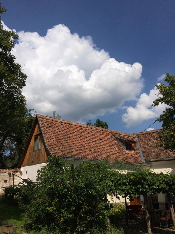 Dominic Boutique - Casa Mare - Județul Brașov