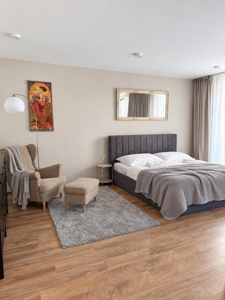 Veleslaveenka - Spacious Apartment In Pilsen Old Town - Pilsen