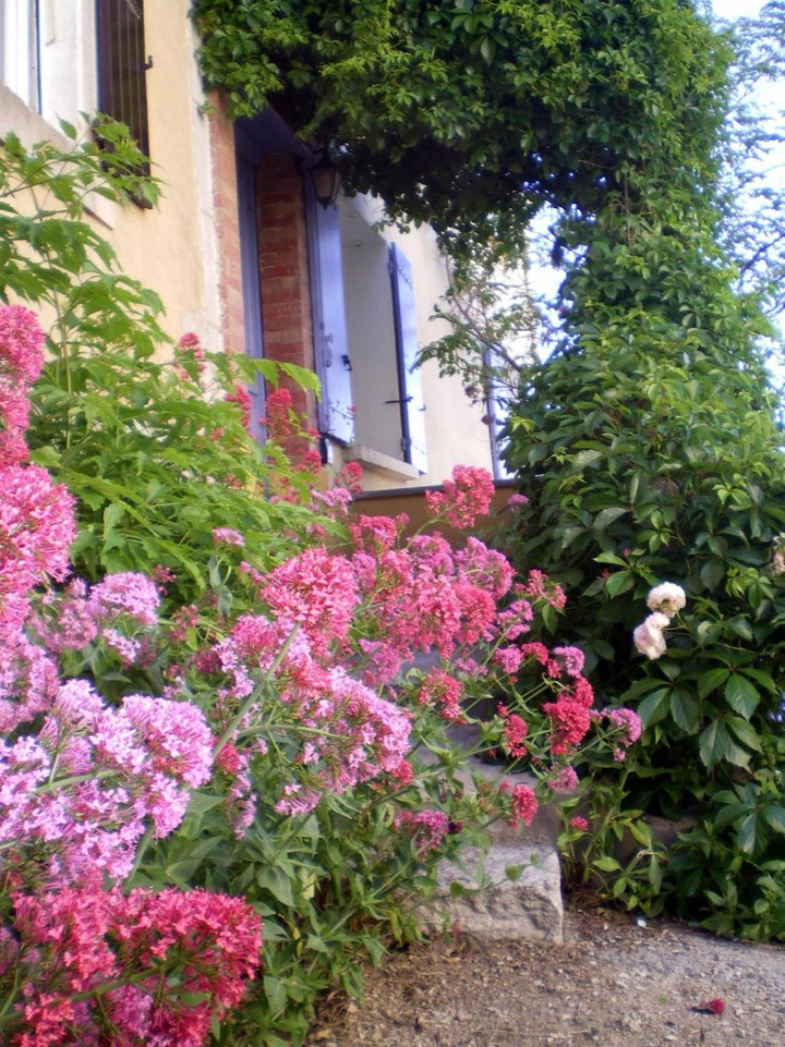 Les Valérianes - Vaison-la-Romaine