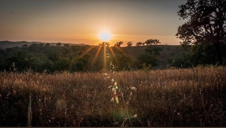 Herdade Da Maceira - Odemira