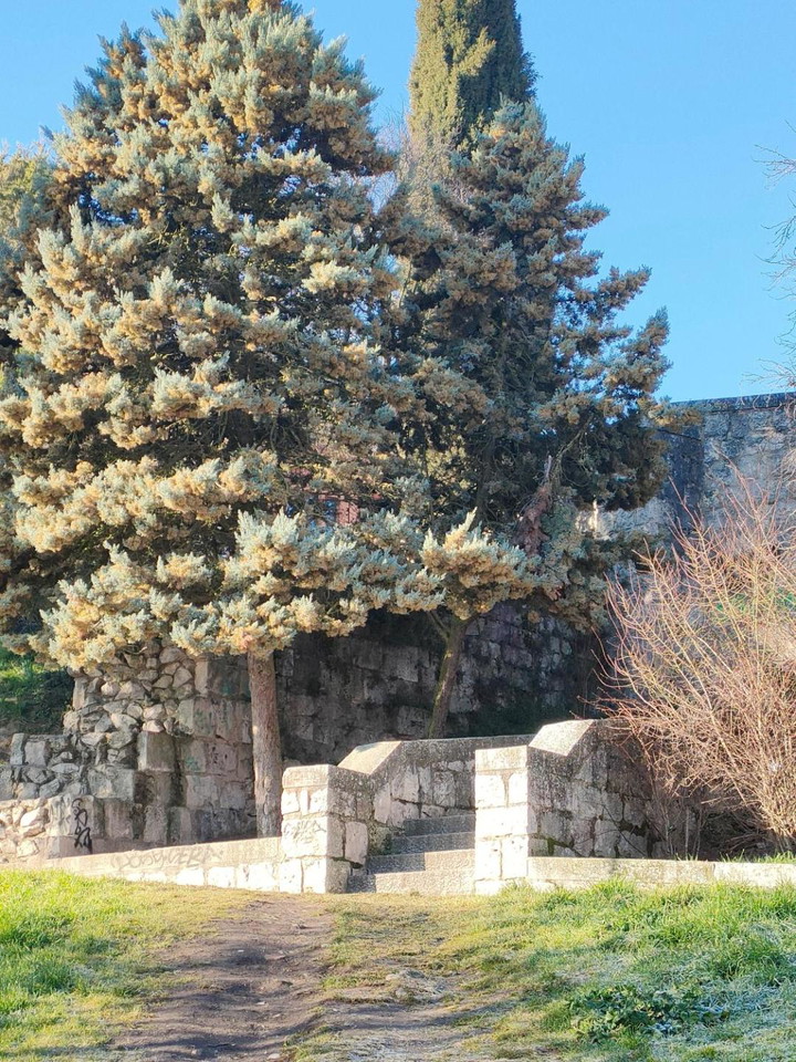 La Antigua Muralla - Burgos