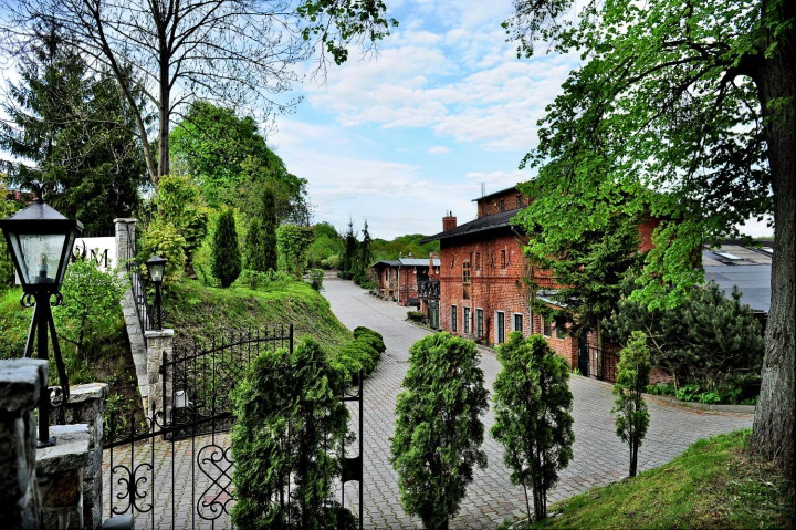 Korona - Mazury