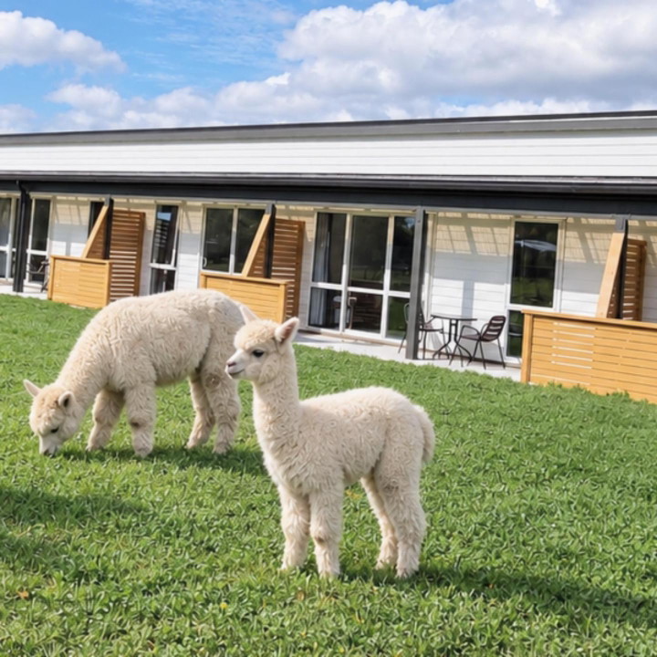 Hideaway Of Rotorua - 
