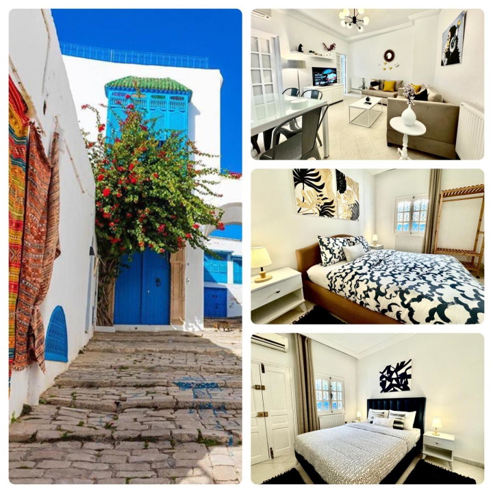 Cosy Apartment In Sidi Bou Said Village - Sidi Bou Said