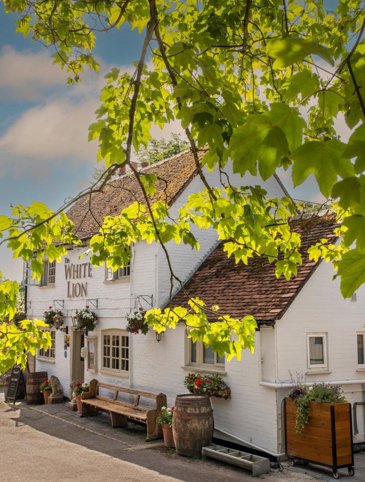 The White Lion, Soberton - Havant