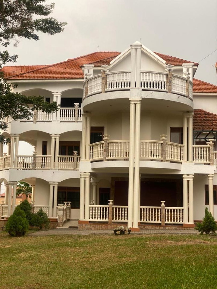 The Forest House - Kawuku-bunga - Kampala