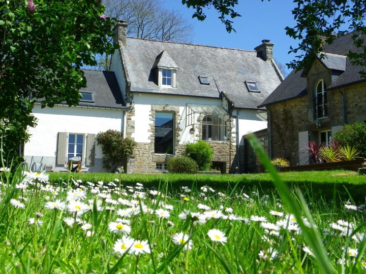 Les Dames De Nage - Vannes