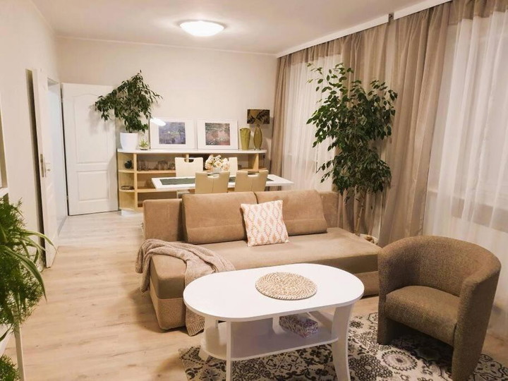 Zielony Apartament. - Poznań