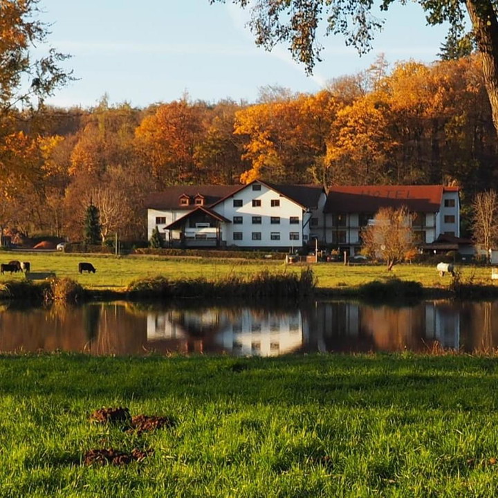 Landgasthof Rotlipp Gästezimmer - Büdingen