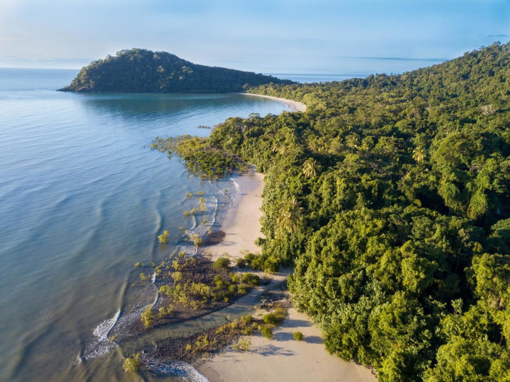 Cape Trib Beach House - Cape Tribulation