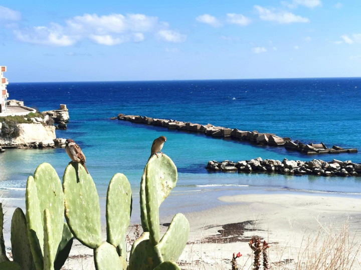 Nel Cuore Di Otranto - Otranto