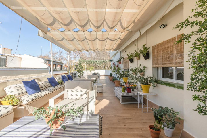 Nüa Alameda - Sevilla