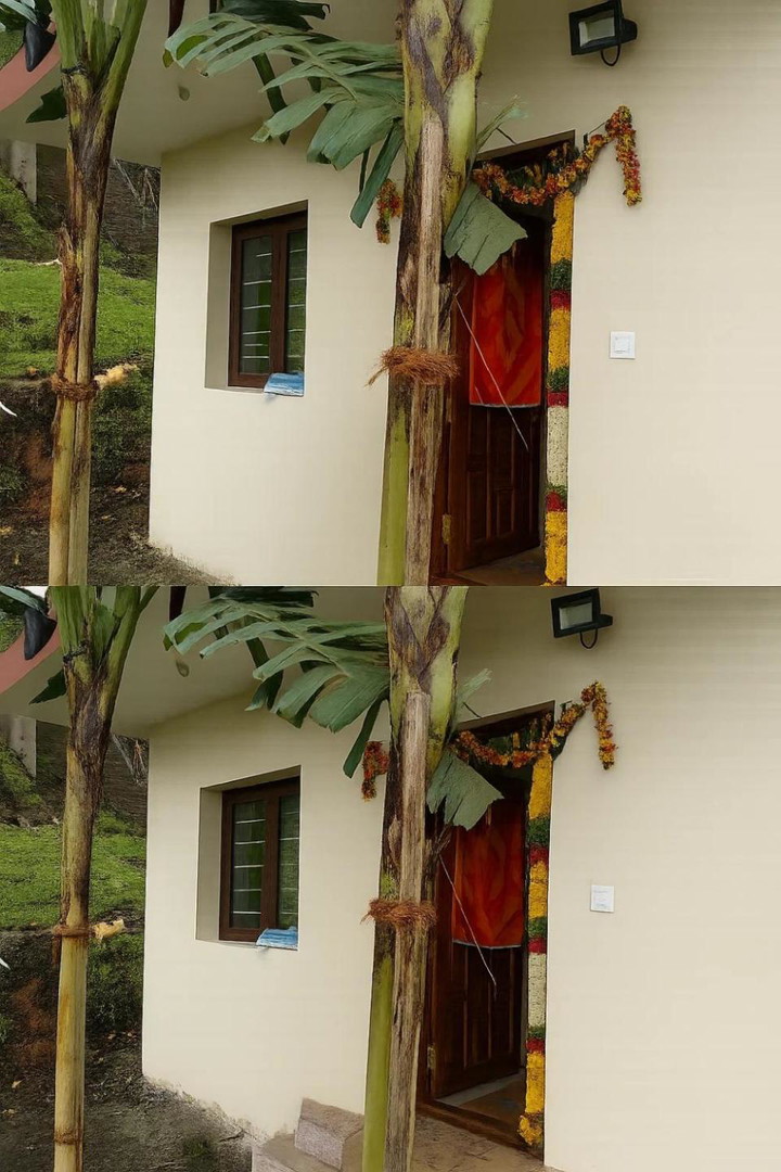Dreamy Wonders House - Kerala