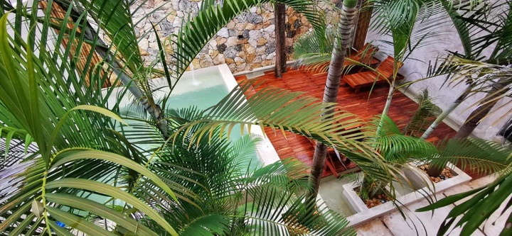 Hotel Casa Bamboo - Quintana Roo