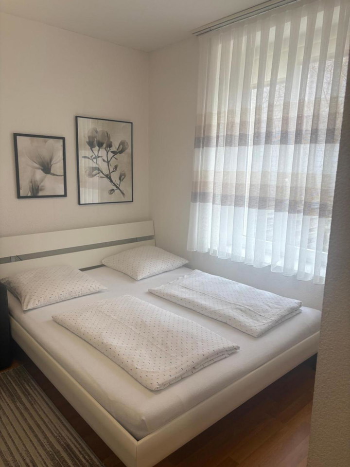 1,5 Zimmer Appartement - Winterthur