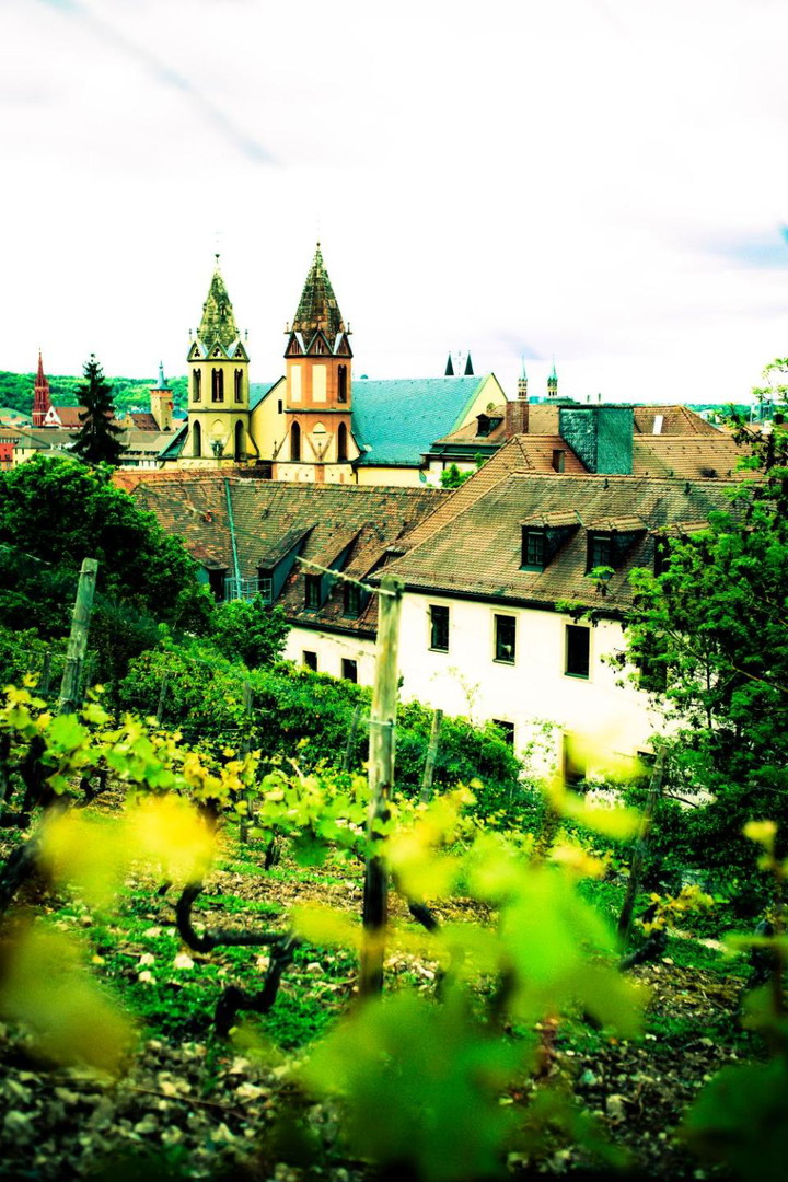 Youth Hostel Würzburg - Würzburg