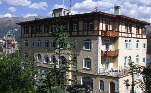 Soldanella - Saint Moritz