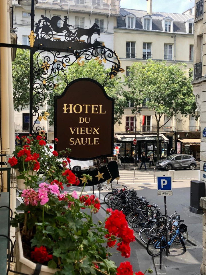 Hôtel Du Vieux Saule - Maisons-Alfort