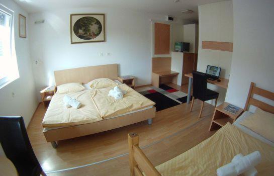 Hotel Galaksija Trebnje - Slovenia