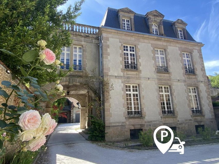 La Villa Beaupeyrat - Appart Hôtel De Charme Avec Cuisines éQuipées Dans Bâtisse De Caractère à 400m Du Cœur De Ville De Limoges - Accès Autonome - Limoges