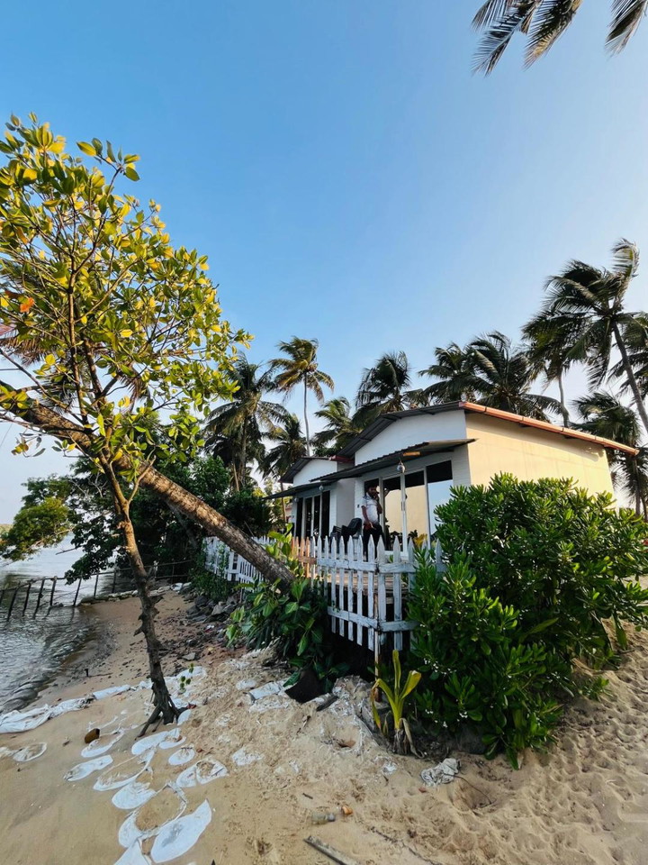 Tulum By Td - Udupi