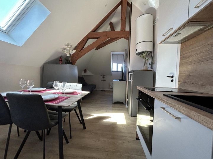 Logement Climatisé Avec Cuisine éQuipée - Amboise