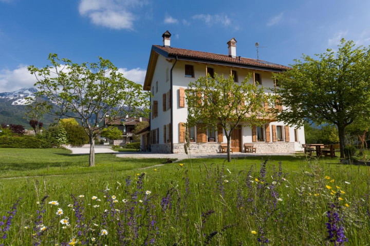 Lioelara - Feltre