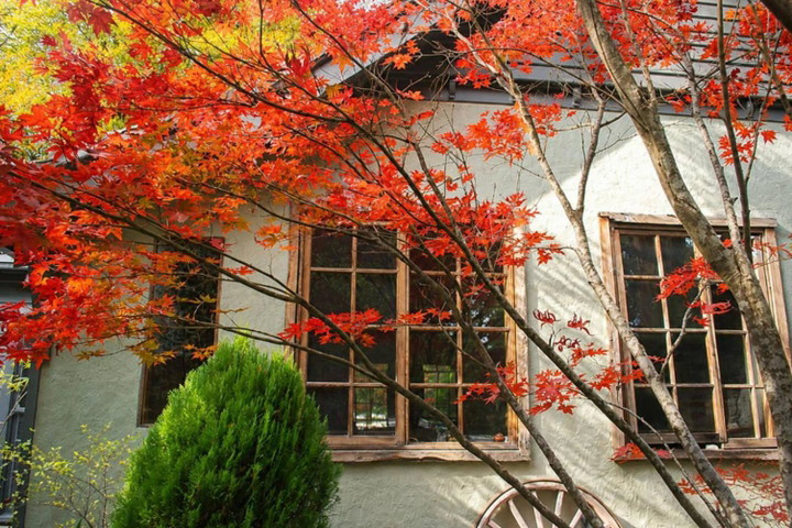 Olinda Magnolia 2 - 2 Bedrooms - By Ready Set Stay - Melbourne