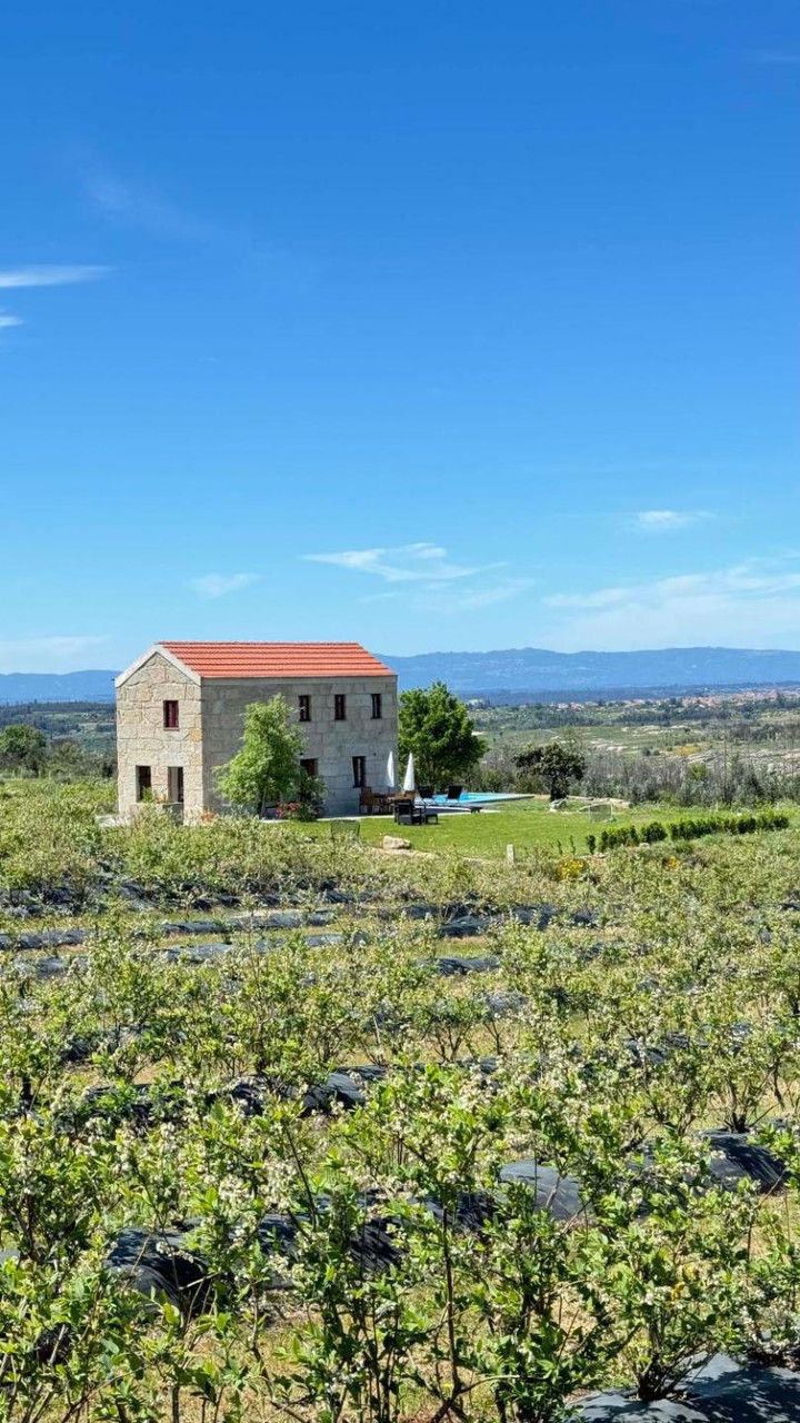 Quinta Da Cumieira Nova - Seia