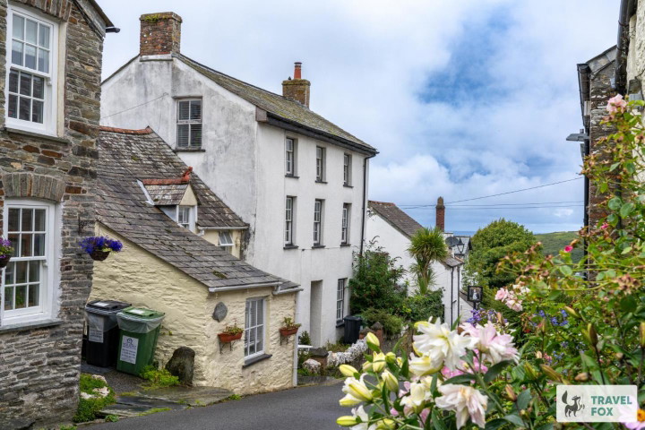 The Bird's Nest - Free Parking! - Boscastle