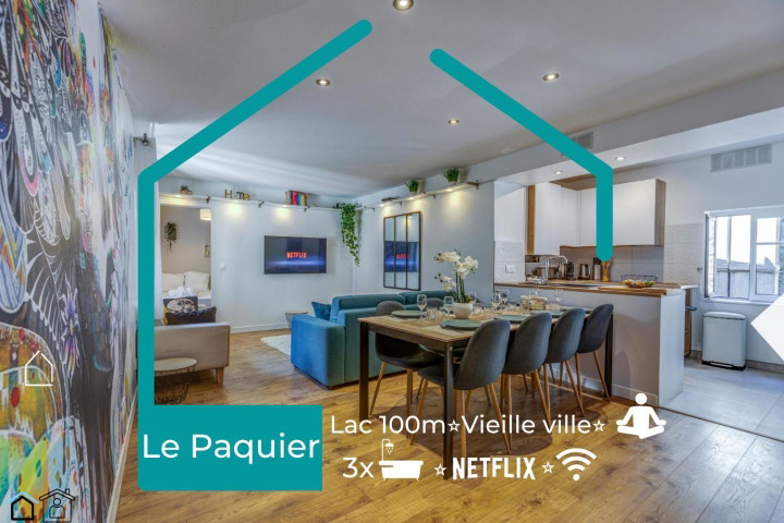 Le Paquier - Mycosyapart, Vieille Ville, Calme, Lac 100m, Netflix - Annecy