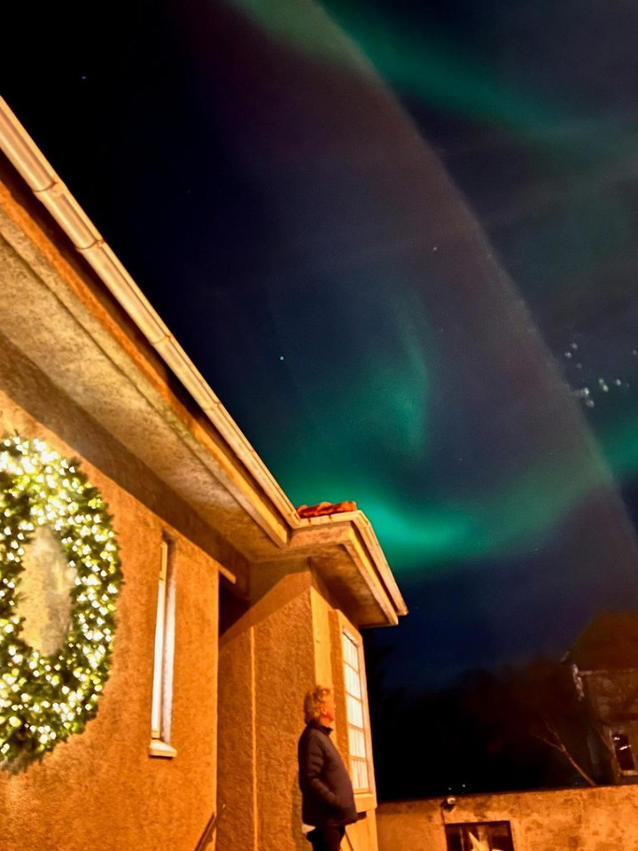 Casa Dísa - Dreams, A Boutique Guesthouse In Reykjavik City`s Central Park And Botanical Garden In Laugardalur, Hot-spring-valley - Reykjavik