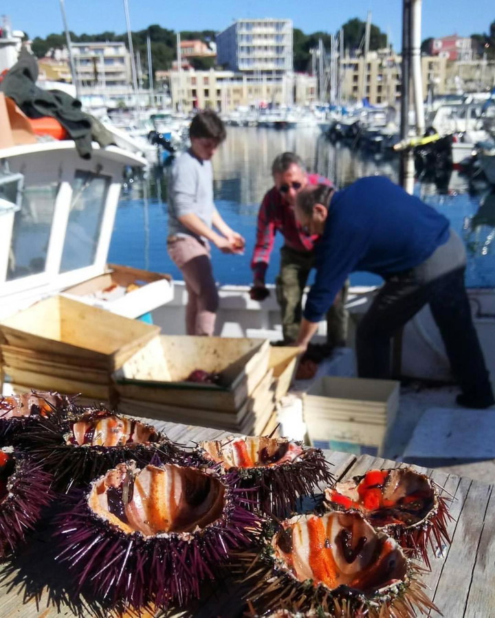 200m De La Plage ,3mn Du Port à 50m Du Centre Ville - Ensuès-la-Redonne