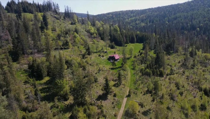 Childhood's Dream Cabin - Zdziar